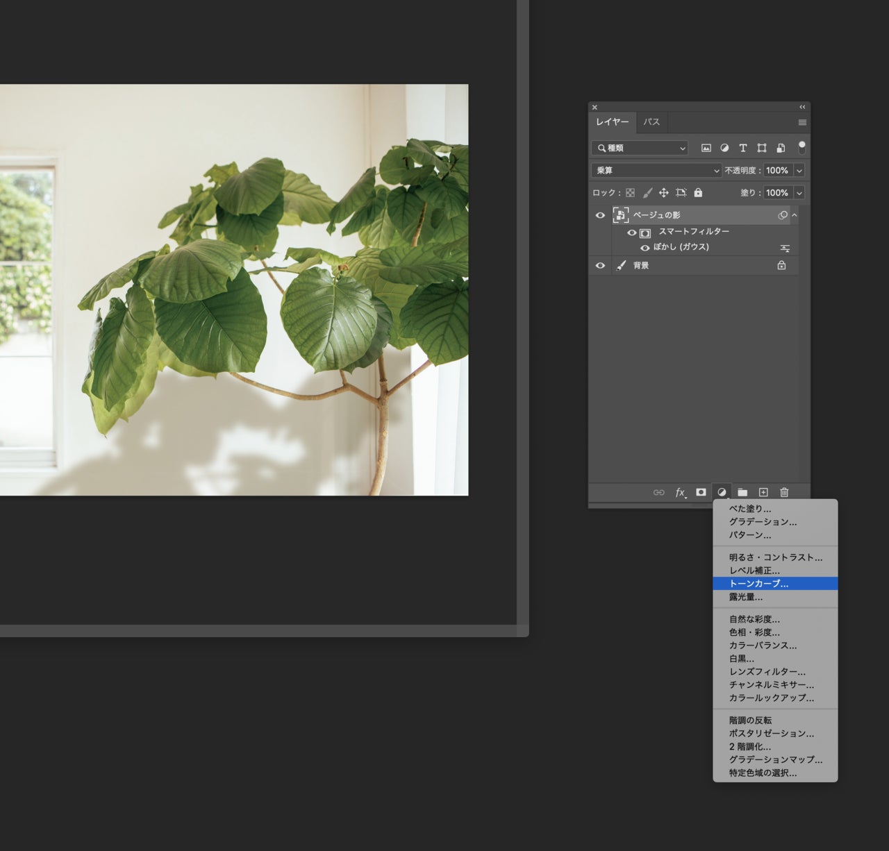 Photoshop#10 写真に光と影を足して、メリハリをつけてみよう！ - Taniweb制作